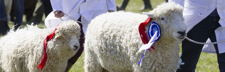 Top UK Country Shows 2023 - The Camping and Caravanning Club