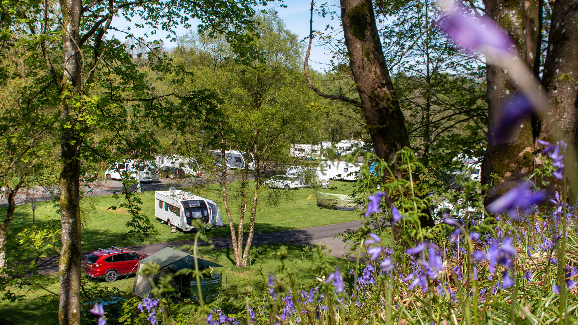 Haltwhistle Campsite - Camping and Caravanning Club Site