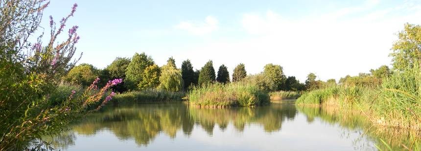 Keyworth - Pikes Oak Farm - The Camping and Caravanning Club