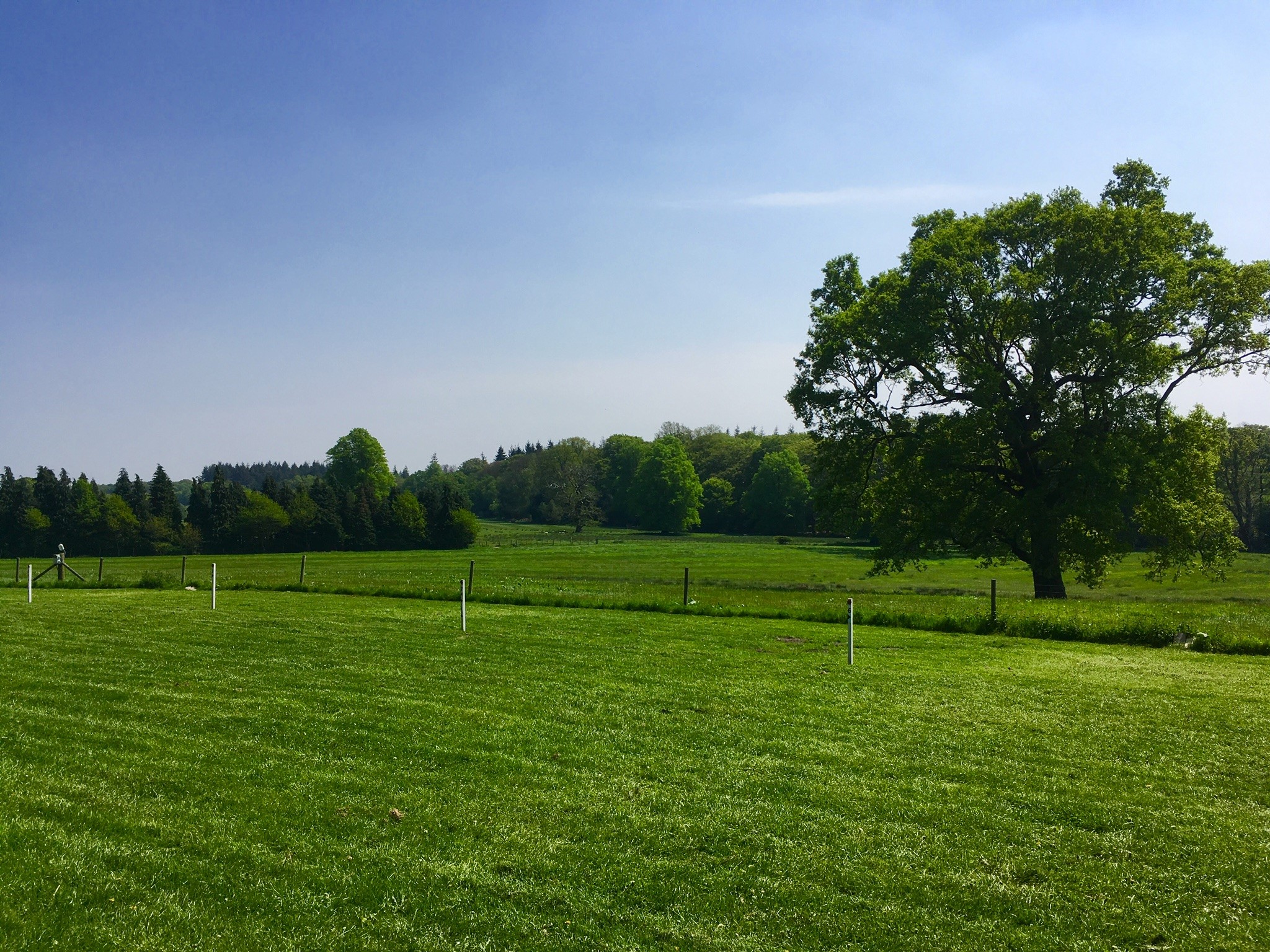 New Forest - Minstead Manor Farm - The Camping and Caravanning Club