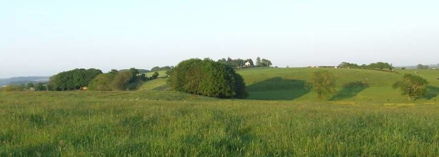 Spilsby - Furze Hill House Farm - The Camping and Caravanning Club