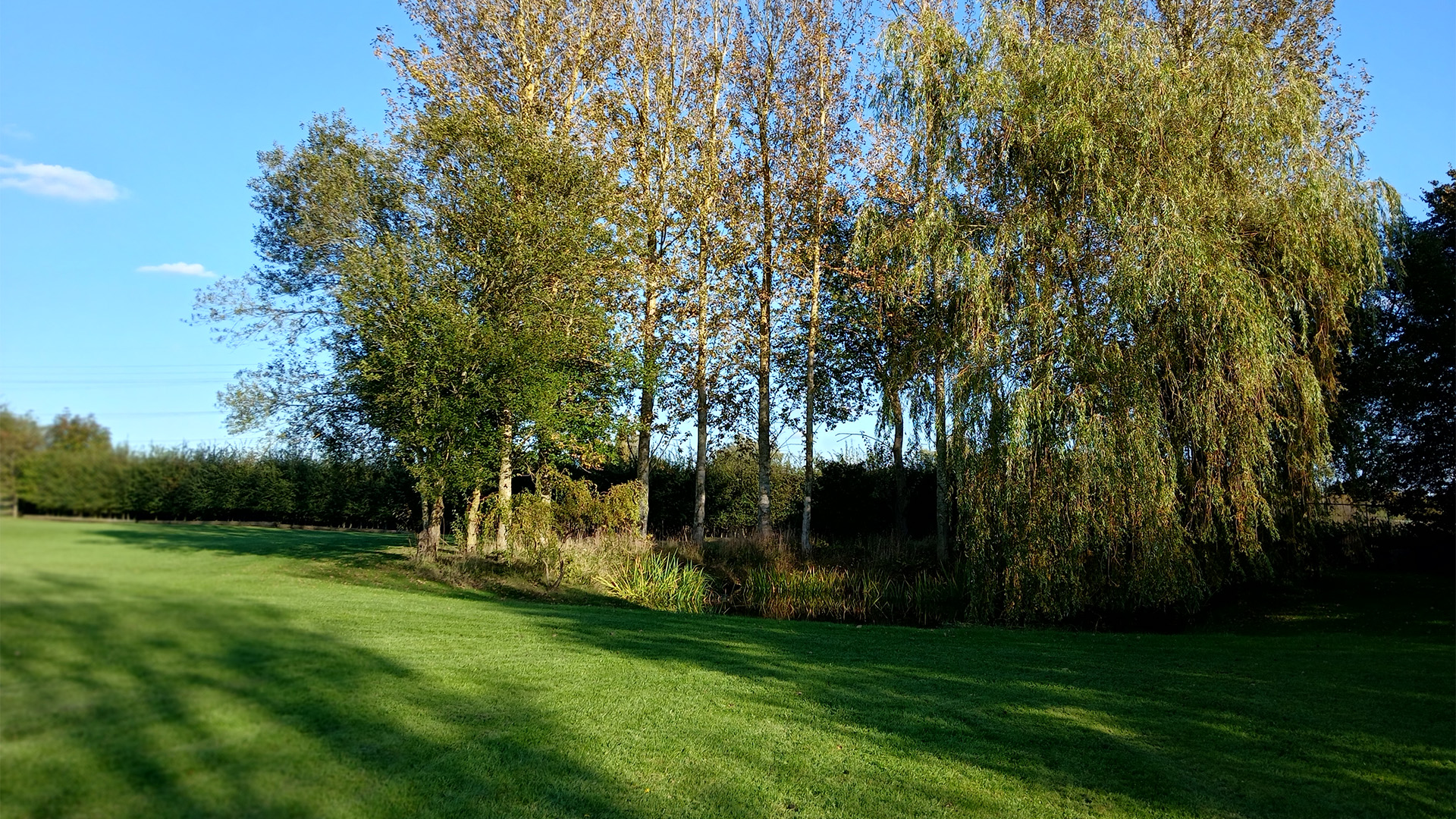 St Neots - The Birches - The Camping and Caravanning Club