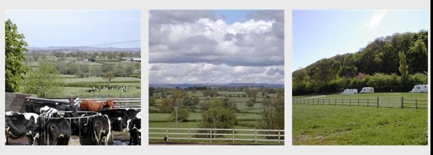 Uttoxeter - Forestside Farm - The Camping and Caravanning Club