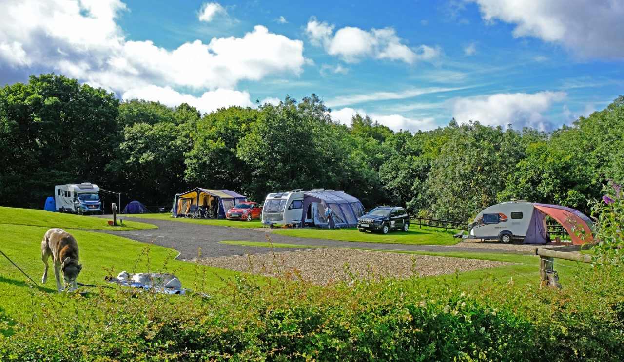 Whitby - Springhill Farm - The Camping and Caravanning Club