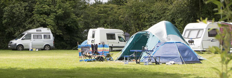 Eco-Friendly Camping Tips for a Greener Camping Experience - The ...