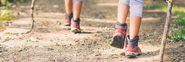 Eco-Friendly Camping Tips for a Greener Camping Experience - The ...