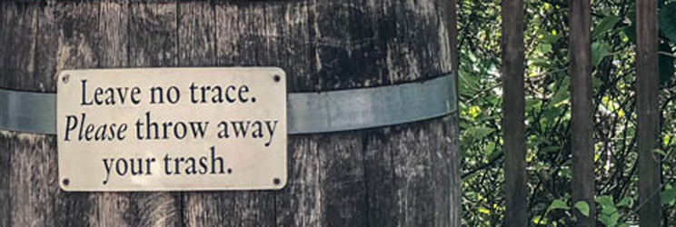 Eco-Friendly Camping Tips for a Greener Camping Experience - The ...