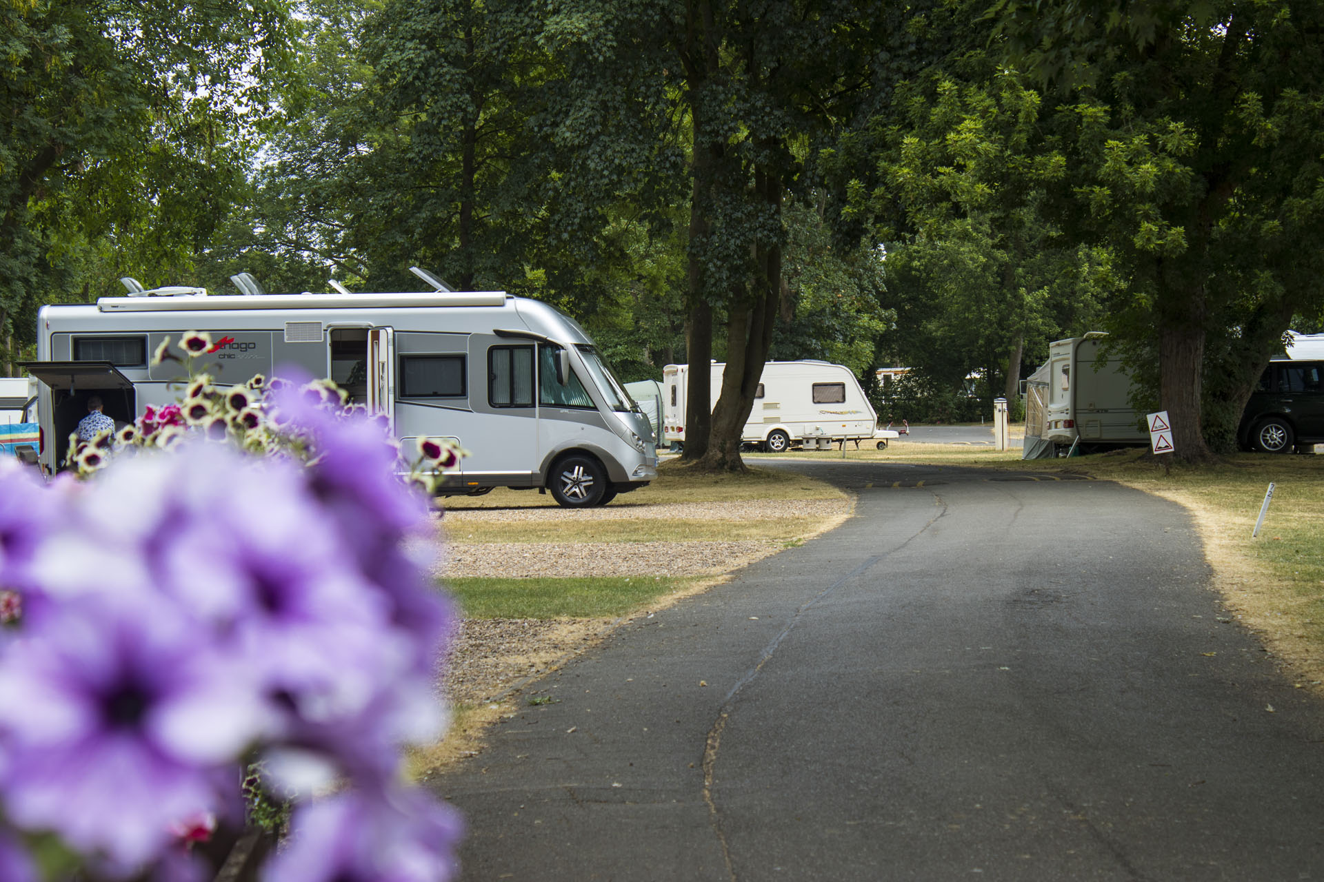 Chertsey Campsite - Camping and Caravanning Club Site - The Camping and ...