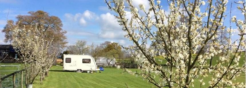 Ludlow - The Larches - The Camping and Caravanning Club
