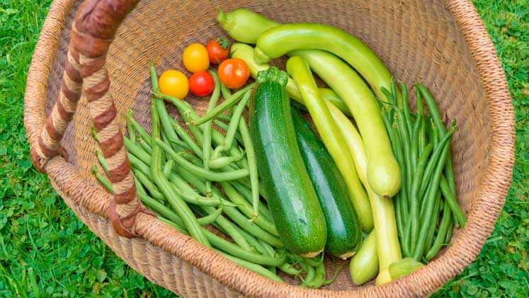 Enjoy a taste of August - The Camping and Caravanning Club