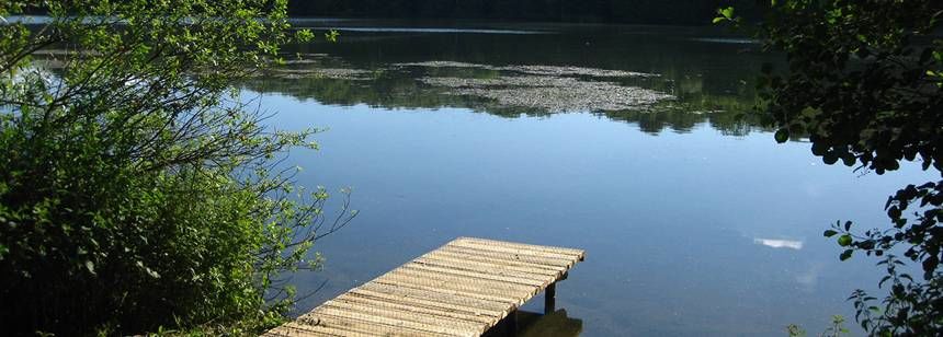 Beauvale Lodge Campsite | Explore Nottinghamshire from Beauvale Lodge ...