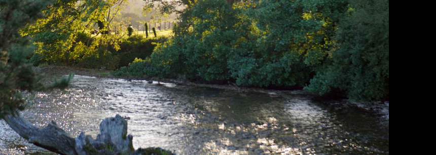Pantmawr Farm Campsite | Explore Ceredigion from Pantmawr Farm Campsite ...