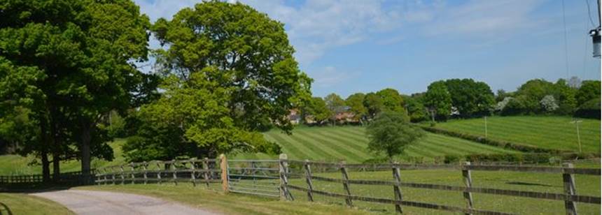 Rushcroft Farm Campsite | Explore Hampshire from Rushcroft Farm ...
