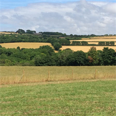 Trevessa Farm Campsite | Explore Cornwall from Trevessa Farm Campsite ...