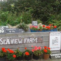 Sea View Farm Campsite | Explore Cornwall from Sea View Farm Campsite ...